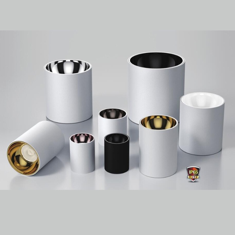 IP65 Waterproof outdoor LED Downlight