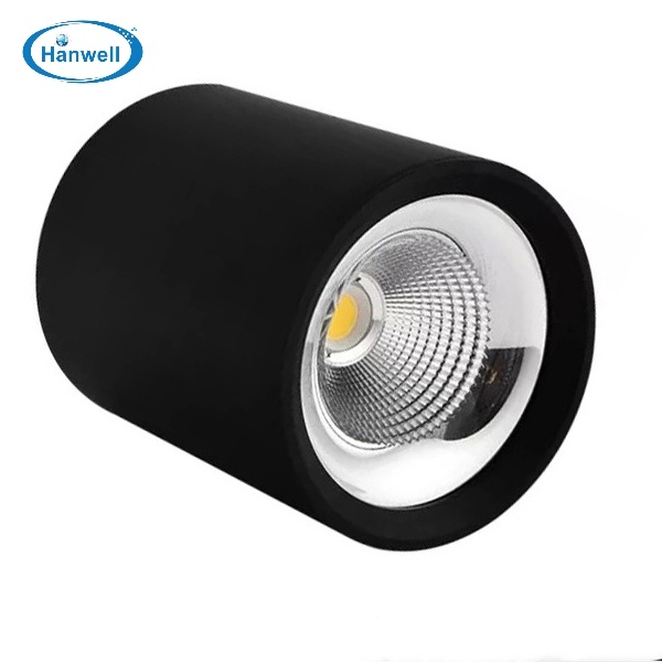 IP65 Waterproof outdoor LED Downlight