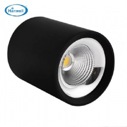 IP65 Waterproof outdoor LED Downlight